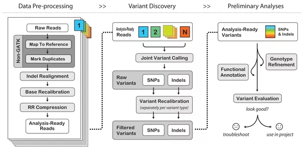 Bioinformatics approach examples · RNA-seq Analisys Course